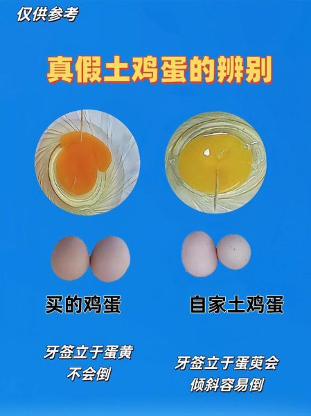 土鸡蛋真假怎么辨别_土鸡蛋营养价值高吗-第1张图片-山城妙识 土鸡蛋真假怎么辨别_土鸡蛋营养价值高吗-第1张图片-山城妙识