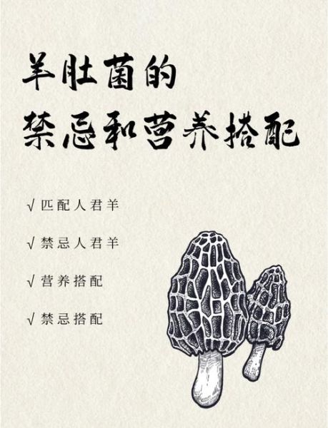 吃羊肚菌的禁忌_什么人不能吃羊肚菌-第1张图片-山城妙识