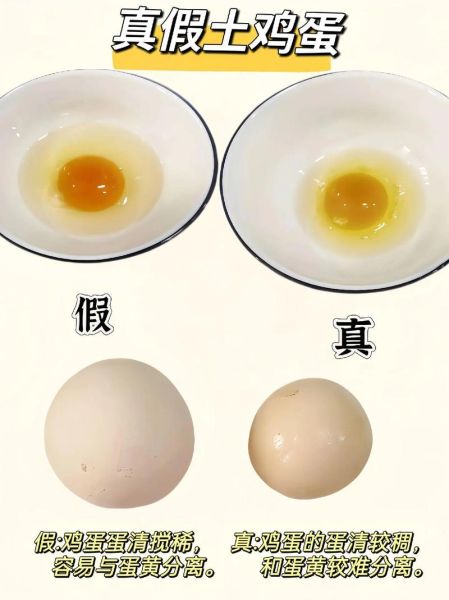 土鸡蛋真假怎么辨别_土鸡蛋营养价值高吗-第3张图片-山城妙识 土鸡蛋真假怎么辨别_土鸡蛋营养价值高吗-第3张图片-山城妙识