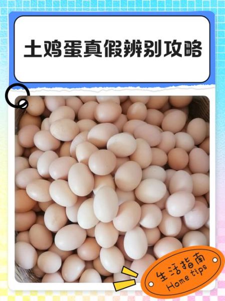 土鸡蛋真假怎么辨别_土鸡蛋营养价值高吗-第2张图片-山城妙识 土鸡蛋真假怎么辨别_土鸡蛋营养价值高吗-第2张图片-山城妙识