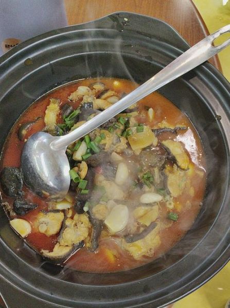 娃娃鱼怎么吃效果最好_娃娃鱼最佳做法-第3张图片-山城妙识 娃娃鱼怎么吃效果最好_娃娃鱼最佳做法-第3张图片-山城妙识