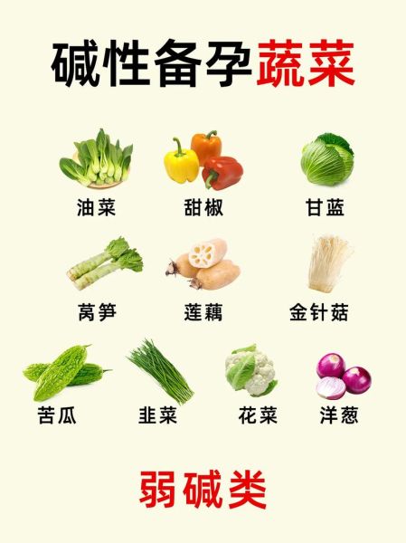 含碱性食物有哪些蔬菜_哪些蔬菜碱性最强-第1张图片-山城妙识 含碱性食物有哪些蔬菜_哪些蔬菜碱性最强-第1张图片-山城妙识
