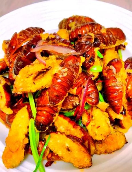 炒蚕蛹怎么做_蚕蛹怎么炒才酥脆-第1张图片-山城妙识 炒蚕蛹怎么做_蚕蛹怎么炒才酥脆-第1张图片-山城妙识