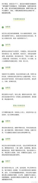 绿豆汤的功效与作用及禁忌_什么人不能喝绿豆汤-第2张图片-山城妙识 绿豆汤的功效与作用及禁忌_什么人不能喝绿豆汤-第2张图片-山城妙识