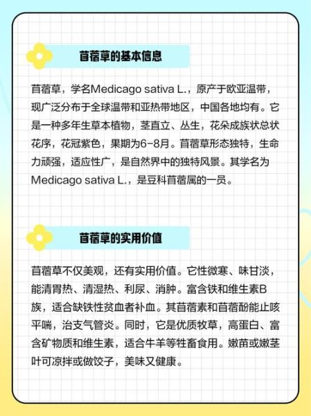 苜蓿草怎么种_苜蓿草种植方法步骤-第2张图片-山城妙识