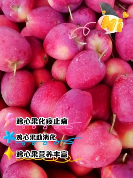 鸡心果怎么挑选_鸡心果的功效与作用-第3张图片-山城妙识 鸡心果怎么挑选_鸡心果的功效与作用-第3张图片-山城妙识