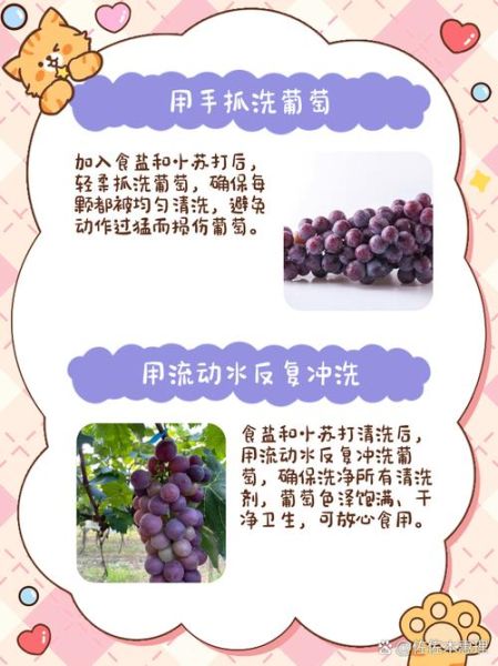怎么洗葡萄_葡萄怎么洗干净-第1张图片-山城妙识 怎么洗葡萄_葡萄怎么洗干净-第1张图片-山城妙识