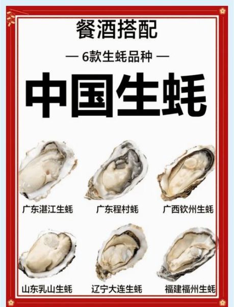 湛江生蚝多少钱一斤_湛江生蚝怎么做好吃-第1张图片-山城妙识 湛江生蚝多少钱一斤_湛江生蚝怎么做好吃-第1张图片-山城妙识