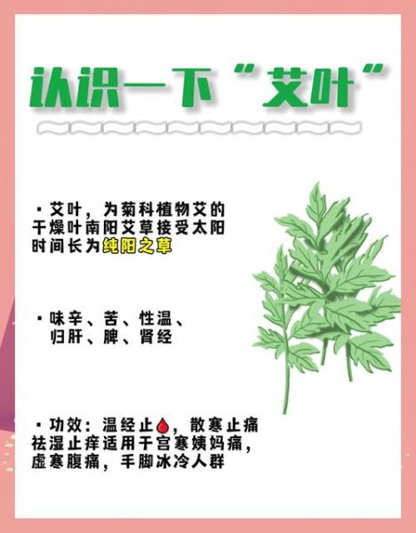 艾蒿的功效与作用_艾蒿泡脚的正确方法-第3张图片-山城妙识 艾蒿的功效与作用_艾蒿泡脚的正确方法-第3张图片-山城妙识