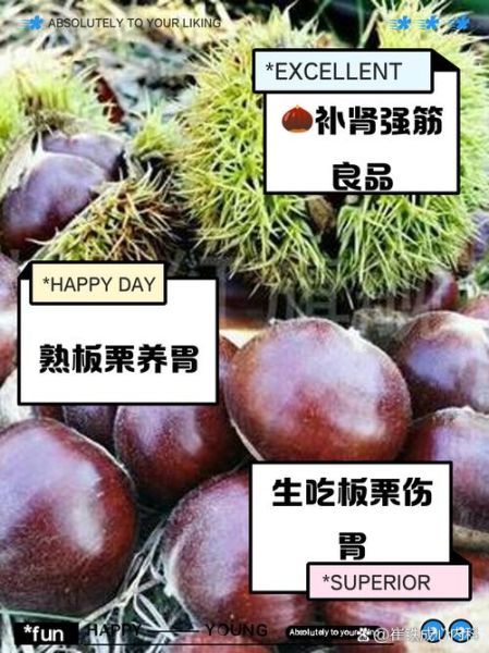 板栗生吃好还是熟吃好_生吃熟吃功效区别-第1张图片-山城妙识 板栗生吃好还是熟吃好_生吃熟吃功效区别-第1张图片-山城妙识