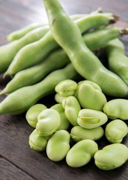 胡豆图片长什么样_胡豆和蚕豆的区别-第2张图片-山城妙识 胡豆图片长什么样_胡豆和蚕豆的区别-第2张图片-山城妙识