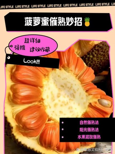 菠萝蜜视频播放卡顿怎么办_如何提升菠萝蜜视频播放速度-第1张图片-山城妙识