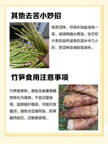新鲜竹笋怎么处理不会苦_竹笋去苦味最快方法-第2张图片-山城妙识 新鲜竹笋怎么处理不会苦_竹笋去苦味最快方法-第2张图片-山城妙识