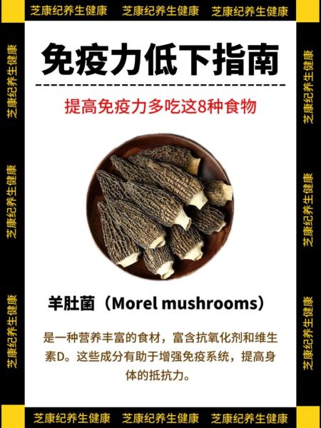 羊肚菌怎么吃最营养_羊肚菌最佳食用方法-第1张图片-山城妙识 羊肚菌怎么吃最营养_羊肚菌最佳食用方法-第1张图片-山城妙识