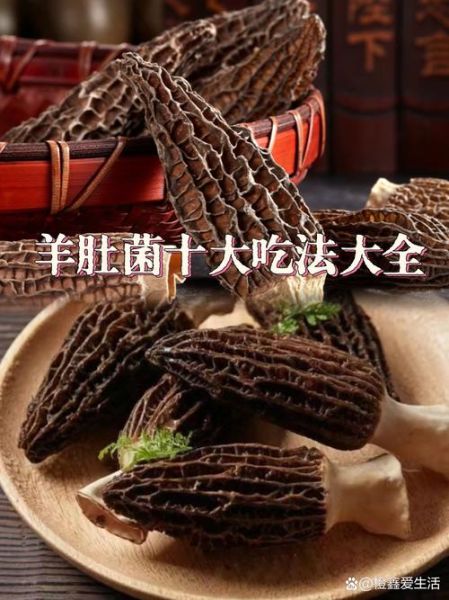 羊肚菌怎么吃最营养_羊肚菌最佳食用方法-第2张图片-山城妙识 羊肚菌怎么吃最营养_羊肚菌最佳食用方法-第2张图片-山城妙识