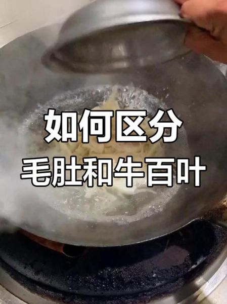 毛肚是什么做的_毛肚和牛肚的区别-第3张图片-山城妙识 毛肚是什么做的_毛肚和牛肚的区别-第3张图片-山城妙识