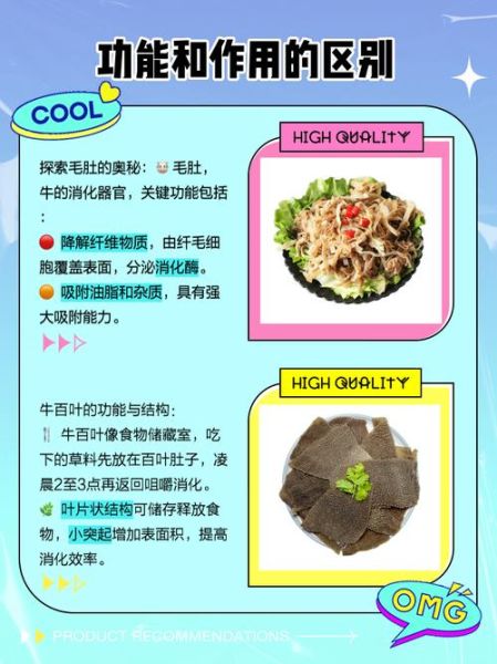 毛肚是什么做的_毛肚和牛肚的区别-第2张图片-山城妙识 毛肚是什么做的_毛肚和牛肚的区别-第2张图片-山城妙识