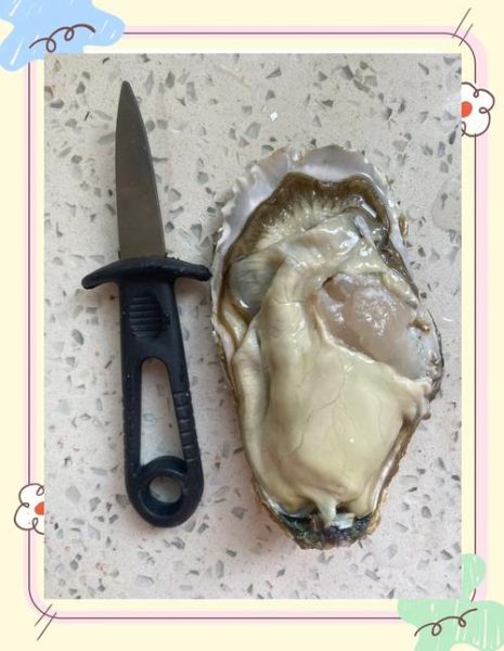 活生蚝怎么保存_活生蚝可以放多久-第3张图片-山城妙识