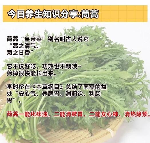 茼蒿壮阳还是杀精_男人吃茼蒿会不育吗-第2张图片-山城妙识 茼蒿壮阳还是杀精_男人吃茼蒿会不育吗-第2张图片-山城妙识