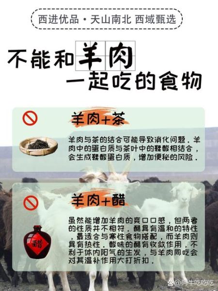 羊肉不能和什么一起吃_吃羊肉的禁忌食物有哪些-第1张图片-山城妙识 羊肉不能和什么一起吃_吃羊肉的禁忌食物有哪些-第1张图片-山城妙识