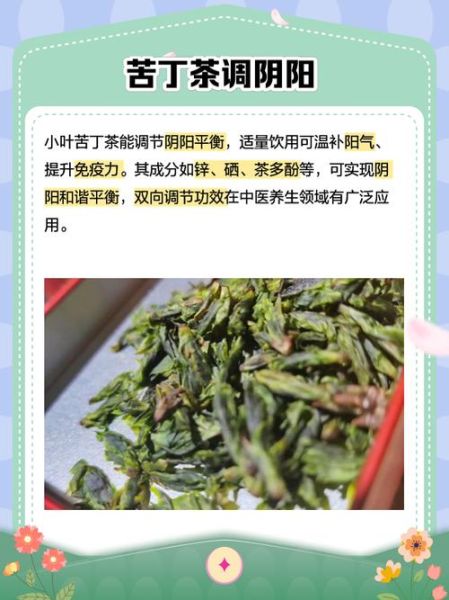 小叶苦丁茶的功效与作用_小叶苦丁茶的禁忌有哪些-第1张图片-山城妙识