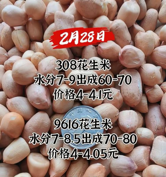 花生米最新价格是多少_花生米价格为何上涨-第2张图片-山城妙识 花生米最新价格是多少_花生米价格为何上涨-第2张图片-山城妙识