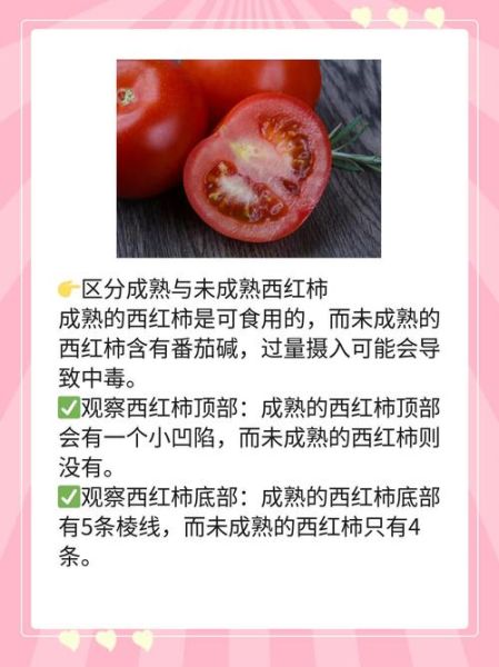 没熟的西红柿能吃吗_生吃青西红柿会中毒吗-第1张图片-山城妙识