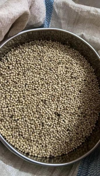 白胡椒的功效与作用_白胡椒怎么吃最好-第2张图片-山城妙识