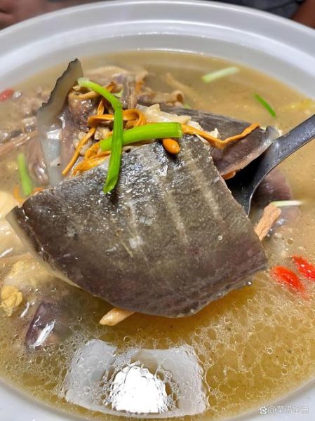 甲鱼汤哪些人不能喝_孕妇能吃甲鱼汤吗-第1张图片-山城妙识 甲鱼汤哪些人不能喝_孕妇能吃甲鱼汤吗-第1张图片-山城妙识