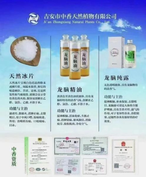 冰片的功效与作用_冰片外用方法-第2张图片-山城妙识