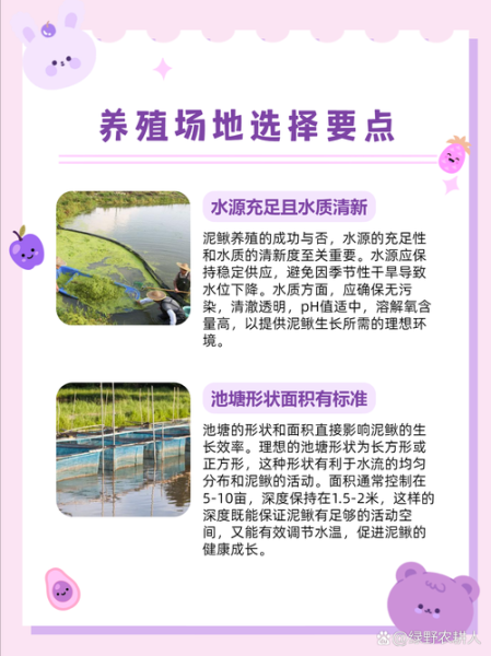 泥鳅养殖新技术_如何提高成活率-第2张图片-山城妙识 泥鳅养殖新技术_如何提高成活率-第2张图片-山城妙识