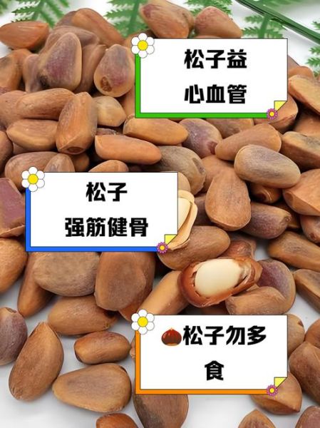 儿童吃松子有什么好处_松子对儿童大脑发育的作用-第2张图片-山城妙识 儿童吃松子有什么好处_松子对儿童大脑发育的作用-第2张图片-山城妙识