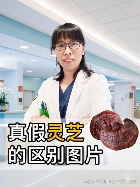 纯野生灵芝一斤10000元值不值_如何辨别真假-第1张图片-山城妙识 纯野生灵芝一斤10000元值不值_如何辨别真假-第1张图片-山城妙识