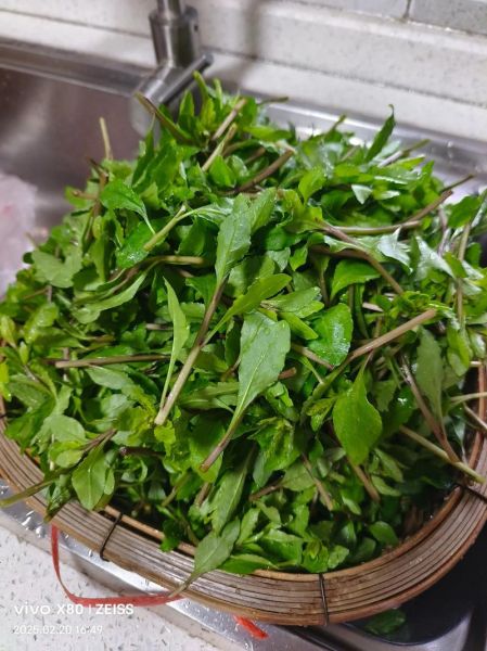 农村野菜有哪些_农村野菜怎么做好吃-第3张图片-山城妙识 农村野菜有哪些_农村野菜怎么做好吃-第3张图片-山城妙识