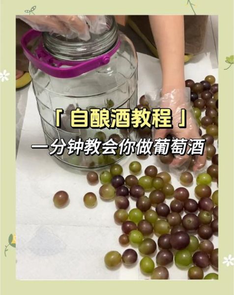 葡萄酒怎么在家酿_自酿葡萄酒步骤详解-第1张图片-山城妙识 葡萄酒怎么在家酿_自酿葡萄酒步骤详解-第1张图片-山城妙识