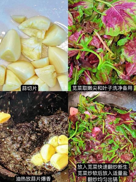 补血菜怎么做_补血菜有哪些家常做法-第2张图片-山城妙识 补血菜怎么做_补血菜有哪些家常做法-第2张图片-山城妙识