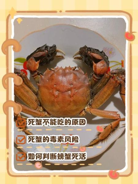 大闸蟹刚死能吃吗_如何判断刚死大闸蟹是否安全-第2张图片-山城妙识 大闸蟹刚死能吃吗_如何判断刚死大闸蟹是否安全-第2张图片-山城妙识