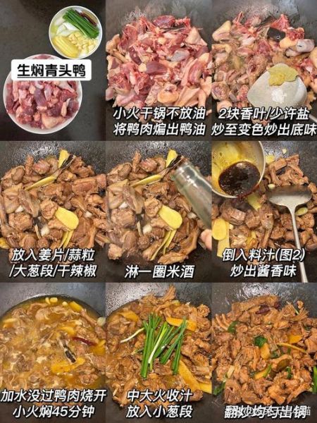 广东焖鸭怎么做才正宗_广东焖鸭用什么酱料-第2张图片-山城妙识 广东焖鸭怎么做才正宗_广东焖鸭用什么酱料-第2张图片-山城妙识