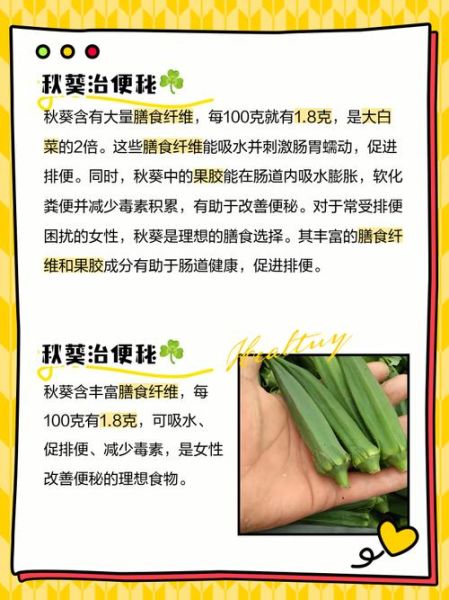 吃秋葵有什么功效_秋葵的营养价值-第1张图片-山城妙识 吃秋葵有什么功效_秋葵的营养价值-第1张图片-山城妙识