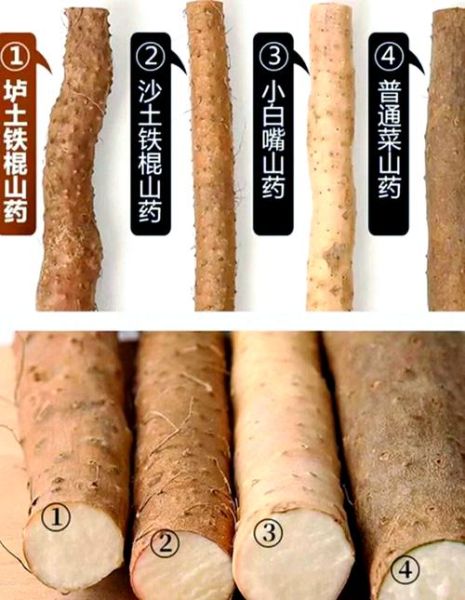 淮山和山药的区别图_哪个更好-第1张图片-山城妙识