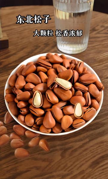 东北松子多少钱一斤_东北松子价格走势-第1张图片-山城妙识 东北松子多少钱一斤_东北松子价格走势-第1张图片-山城妙识