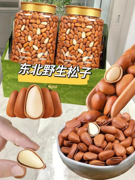 东北松子多少钱一斤_东北松子价格走势-第3张图片-山城妙识 东北松子多少钱一斤_东北松子价格走势-第3张图片-山城妙识