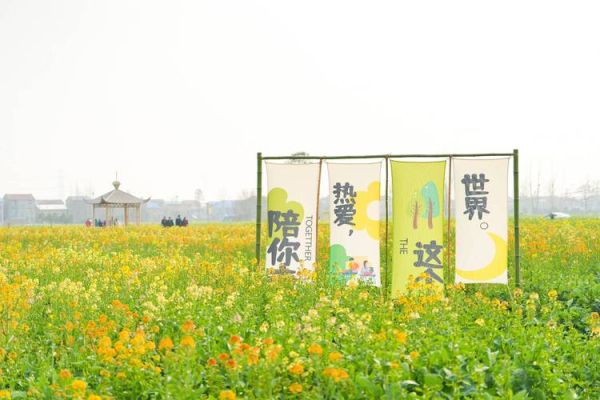 油菜花节怎么玩_油菜花节有哪些活动-第1张图片-山城妙识 油菜花节怎么玩_油菜花节有哪些活动-第1张图片-山城妙识