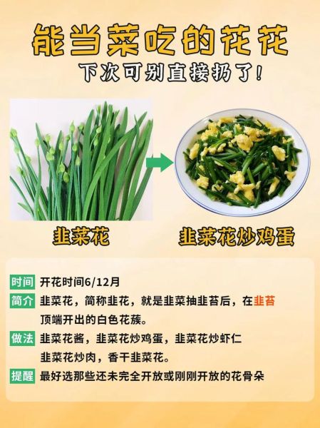 倭瓜花可以吃吗_倭瓜花怎么吃-第1张图片-山城妙识