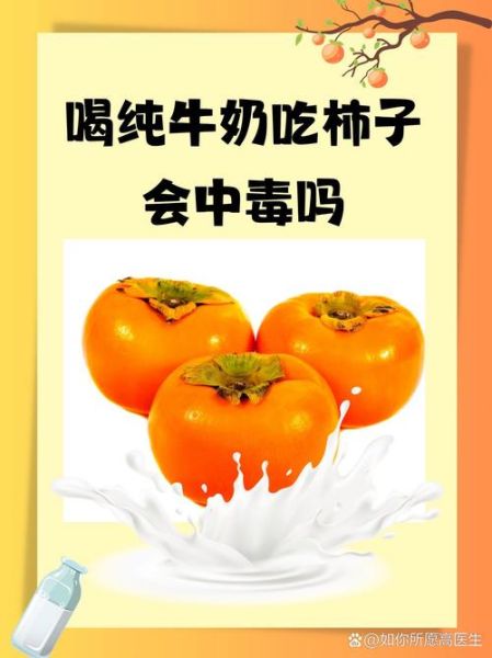 脆柿子不能和什么一起吃_吃脆柿子后多久能喝牛奶-第3张图片-山城妙识 脆柿子不能和什么一起吃_吃脆柿子后多久能喝牛奶-第3张图片-山城妙识