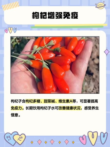 枸杞子怎么吃效果最好_枸杞子一天吃多少粒-第1张图片-山城妙识 枸杞子怎么吃效果最好_枸杞子一天吃多少粒-第1张图片-山城妙识