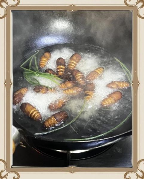 水煮蚕蛹的做法时间_水煮蚕蛹要煮多久才熟-第2张图片-山城妙识 水煮蚕蛹的做法时间_水煮蚕蛹要煮多久才熟-第2张图片-山城妙识