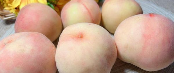 南汇水蜜桃多少钱一斤_南汇水蜜桃价格表2024-第1张图片-山城妙识 南汇水蜜桃多少钱一斤_南汇水蜜桃价格表2024-第1张图片-山城妙识