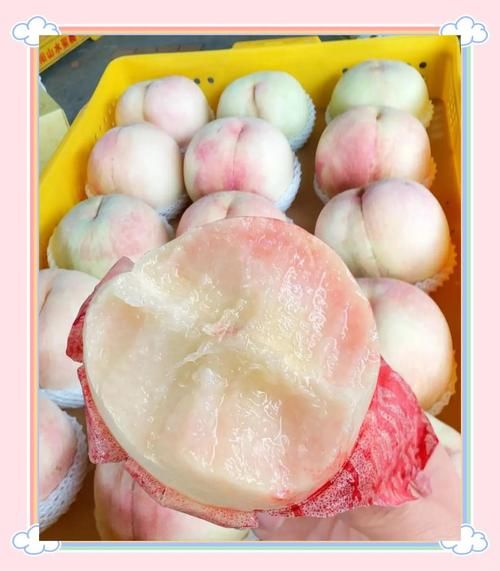 南汇水蜜桃多少钱一斤_南汇水蜜桃价格表2024-第2张图片-山城妙识 南汇水蜜桃多少钱一斤_南汇水蜜桃价格表2024-第2张图片-山城妙识