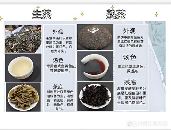 普洱茶属于什么茶_普洱茶是黑茶吗-第2张图片-山城妙识 普洱茶属于什么茶_普洱茶是黑茶吗-第2张图片-山城妙识